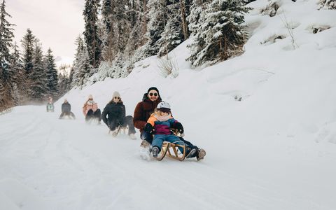 Schlitteln und Nachtschlitteln am Wiriehorn